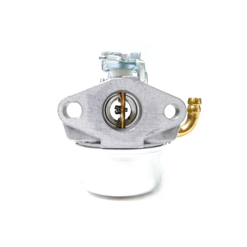 Carburateur Carburateur moteur 190cc Briggs et Stratton - 798653