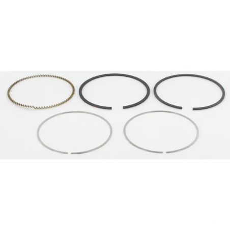 Briggs and Stratton tiller engine ring set - 795690