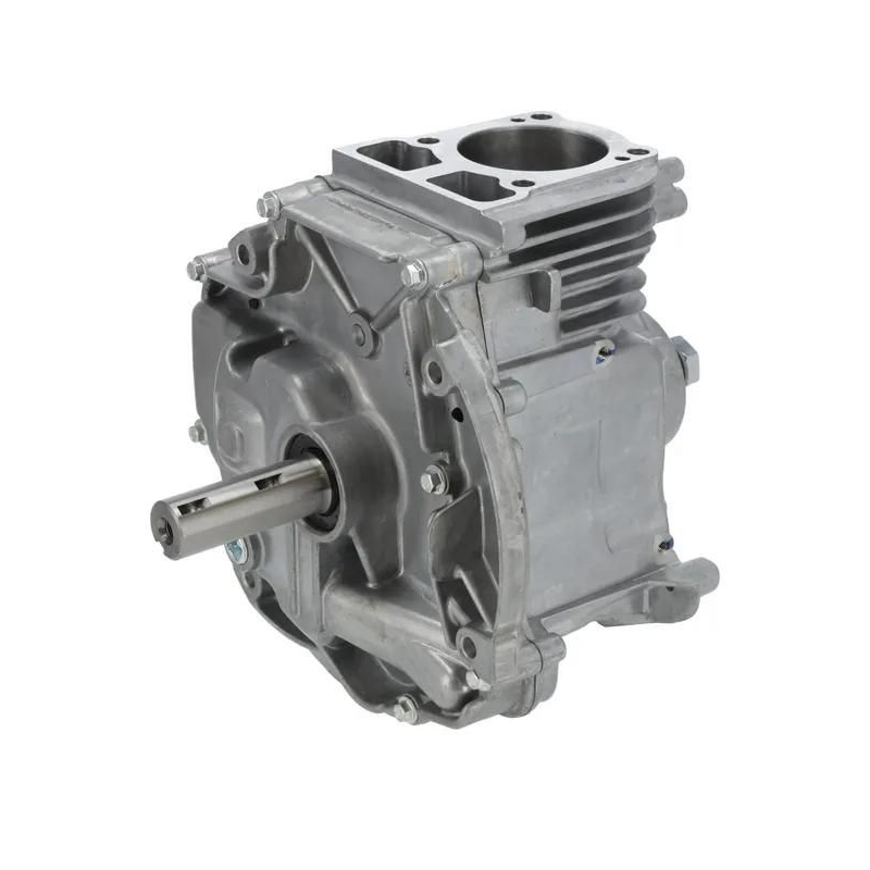 Lawn mower engine Short block model 1008 DOV Briggs and Stratton - 79515
