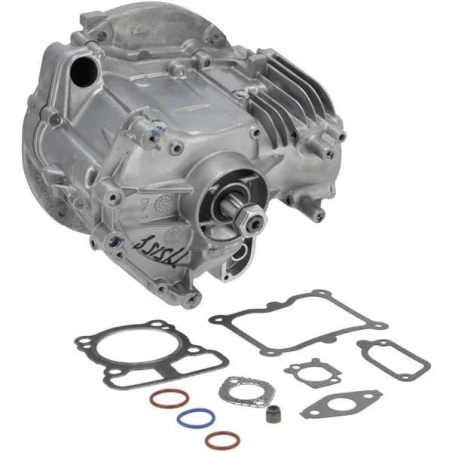 Lawn mower engine Short block model 1008 DOV Briggs and Stratton - 79515