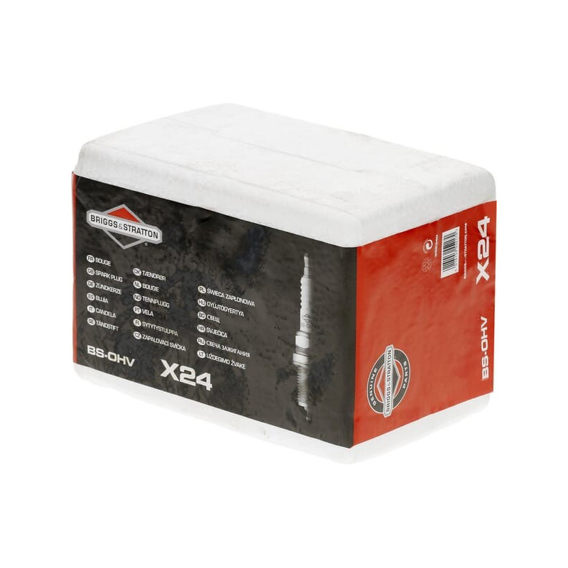 Bougie et antiparasite Bougie Briggs et Stratton - 992340