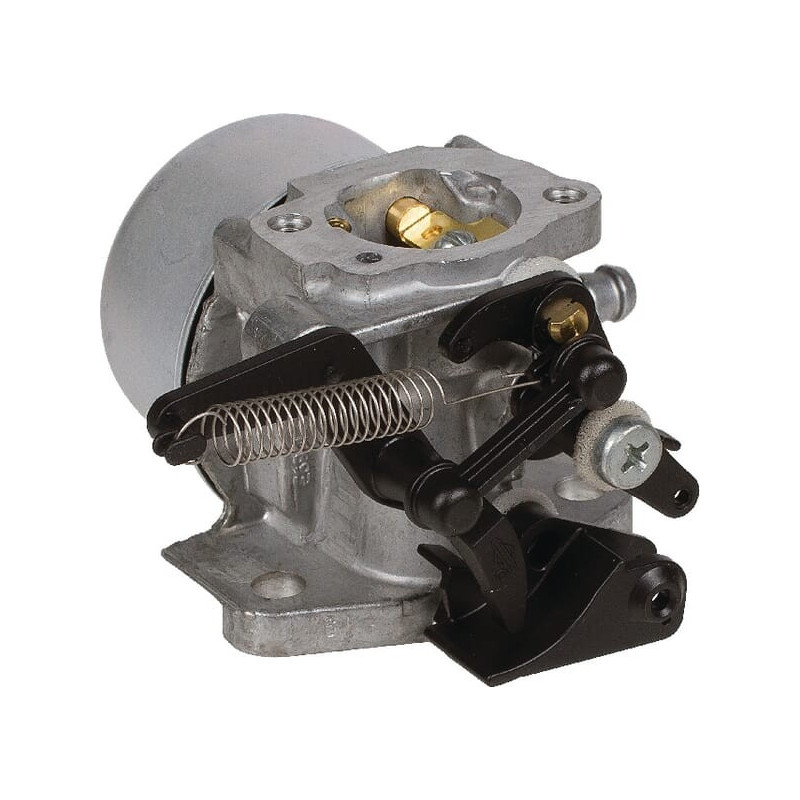 Carburateur Carburateur Briggs et Stratton - 796608