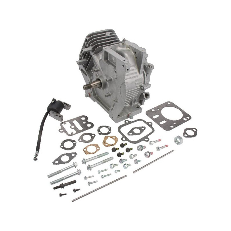 Shortblock Briggs e Stratton - 699582