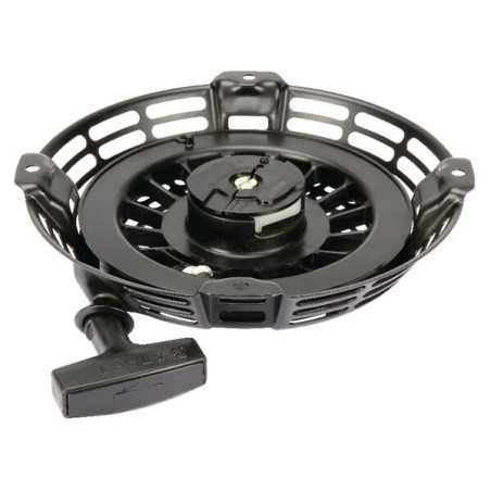 Lanceur Lanceur Briggs et Stratton - 841729