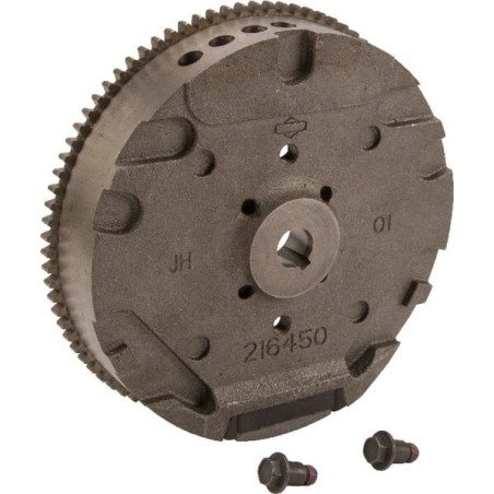 Briggs and Stratton Flywheel - 798882