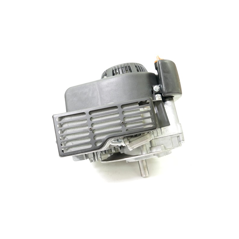 Engine Complete Lawnmower Engine SV150 GGP - 118550157/1