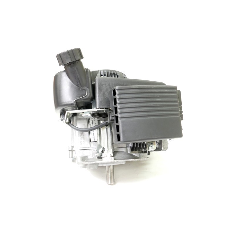 Engine Complete Lawnmower Engine SV150 GGP - 118550157/1